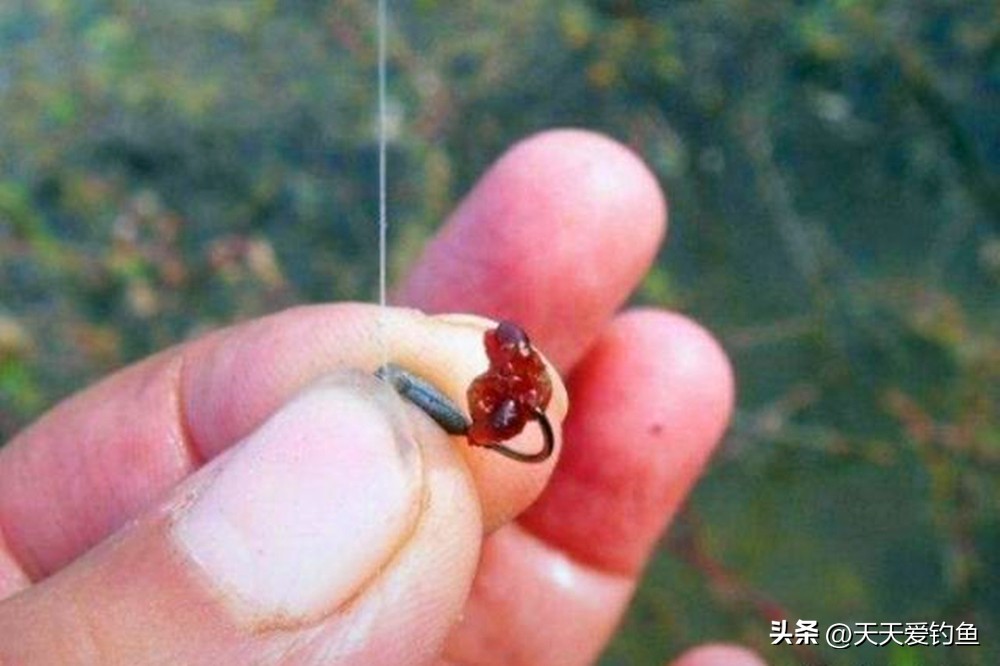 Detailed explanation of centipede floating fishing method: the fishing ...