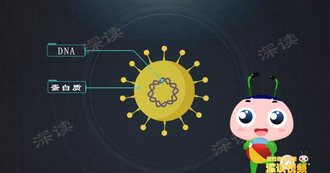 Repeated herpes and ulcers in the private parts?Demystifying the real ...