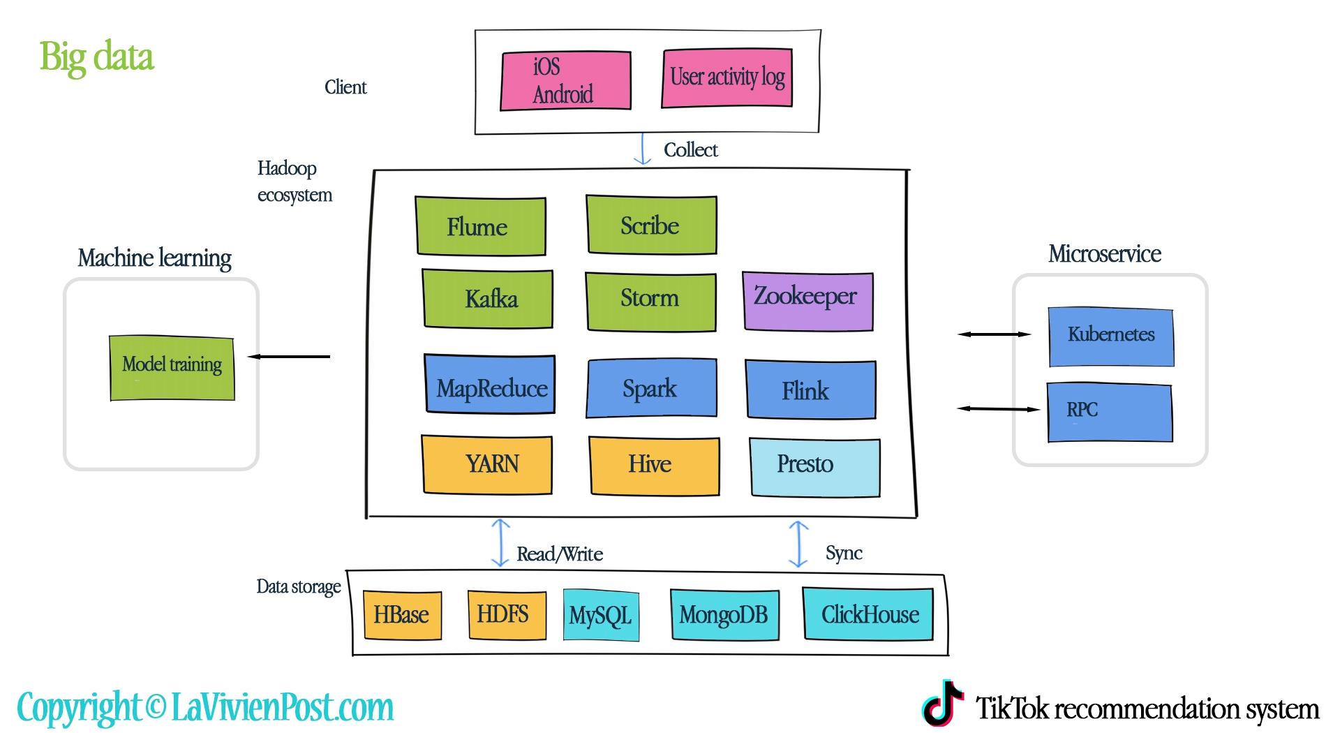 Deciphering the artificial intelligence behind TikTok - iNEWS