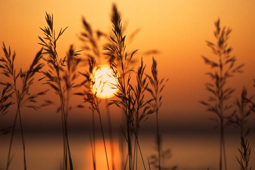 Full of warmth, 10 heart-warming poems after reading, both warm and ...