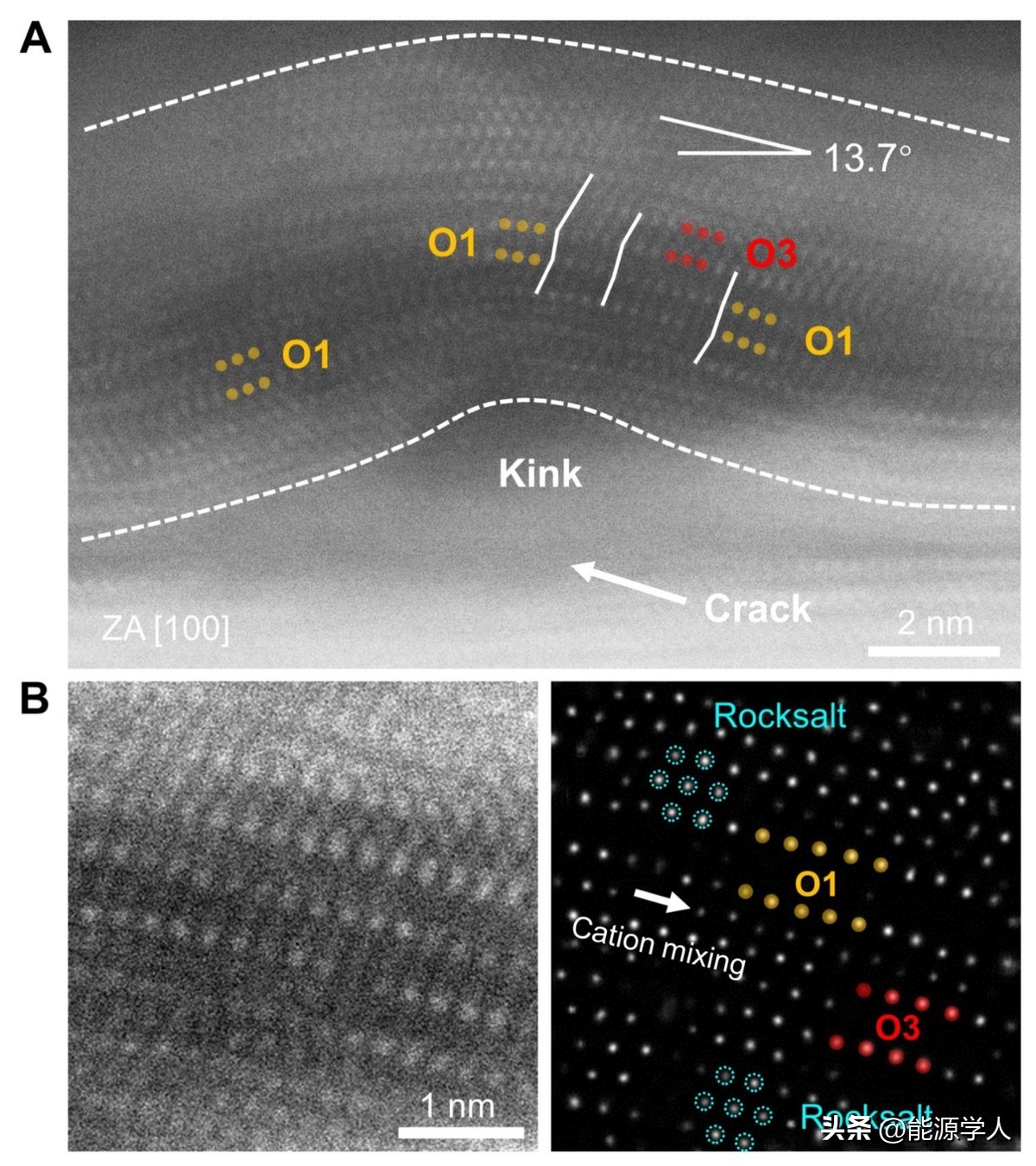 Professor Xin Huolin Matter: artificial intelligence TEM reveals ...