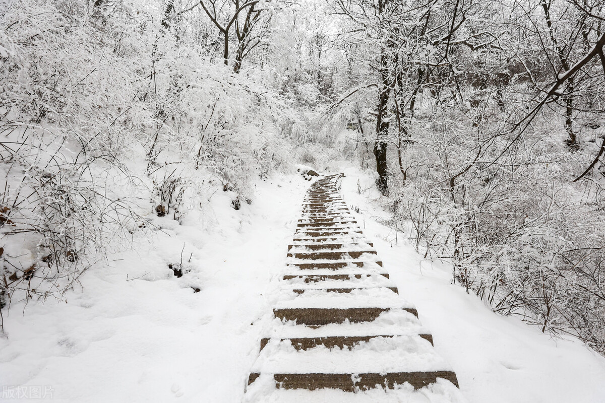 Let's enjoy the snow in Qinling in December - iNEWS