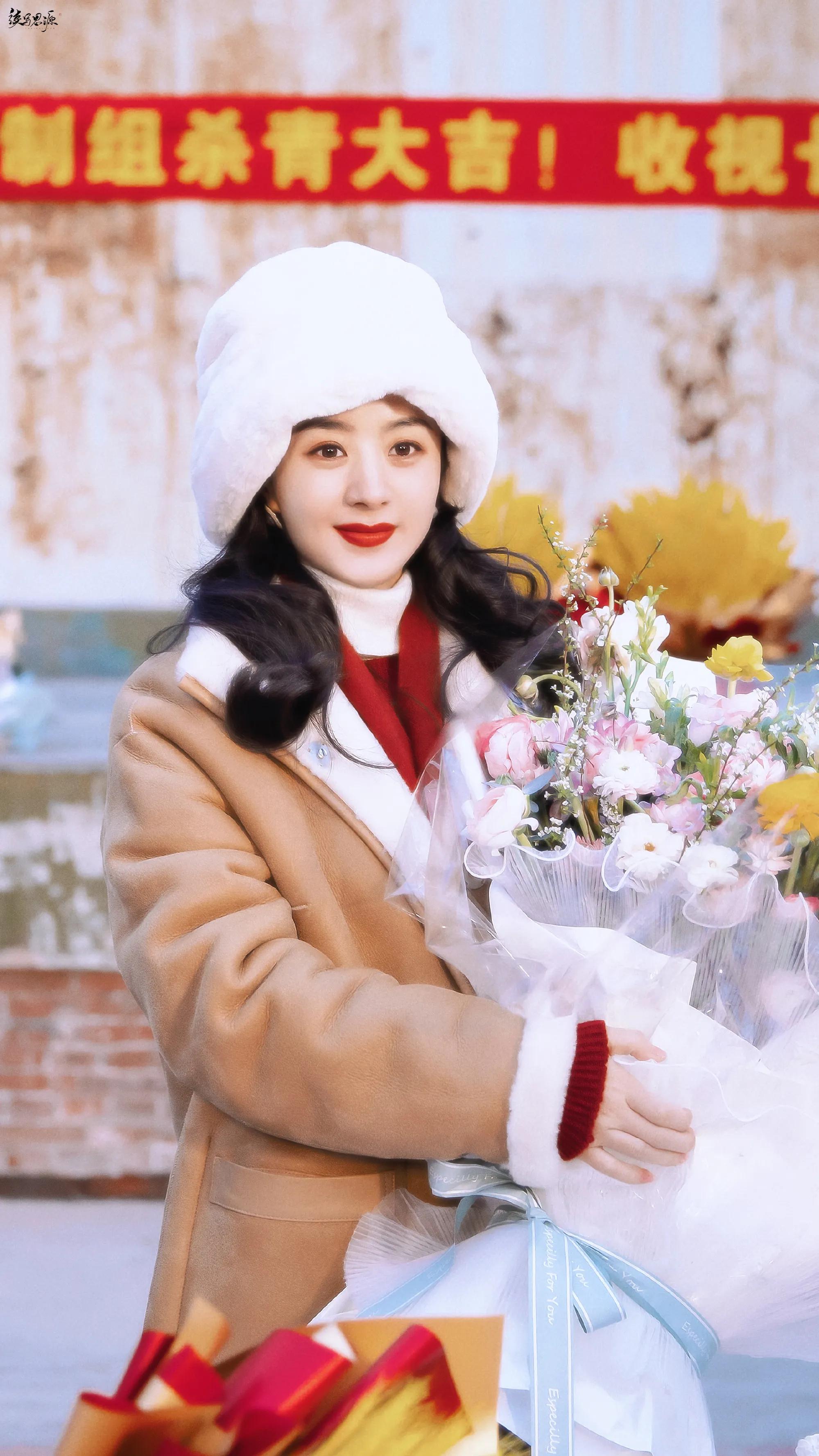 Zhao Liying, Ou Hao, Li Guangjie starring Liu Wei and Wang Jinsong ...