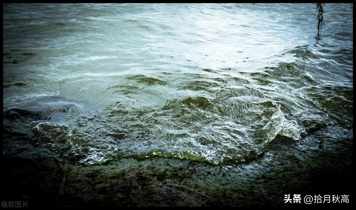 "Hot-blooded youth" Wen Yiduo: See what kind of world ugly can create ...