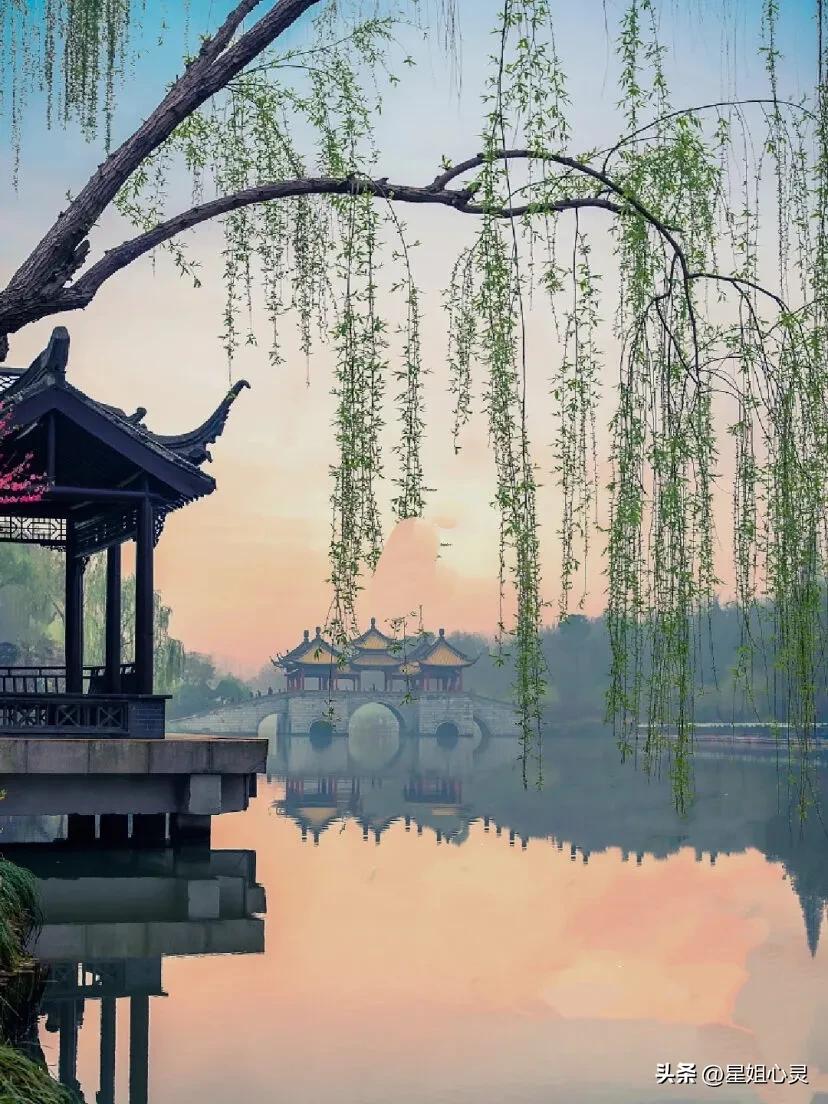 In the season of warm spring and blooming flowers, Yaoguang will take ...