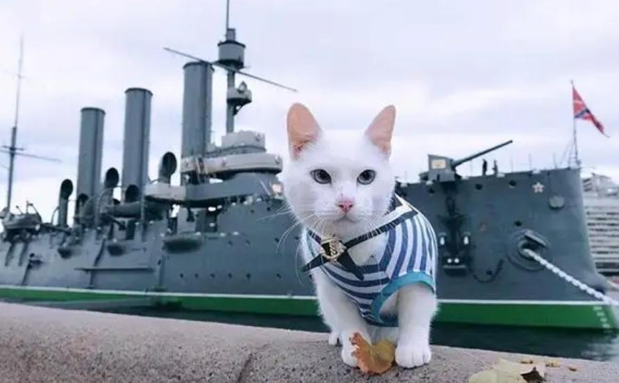 Rats wandering on the aircraft carrier, the US military has not solved ...