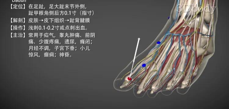 Dadun Point-Gushe to stop bleeding and uterine bleeding - iNEWS