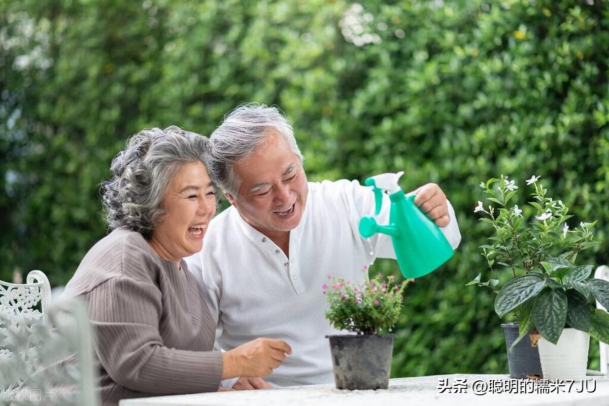 The secret of old people growing flowers: Revealing the magical ...