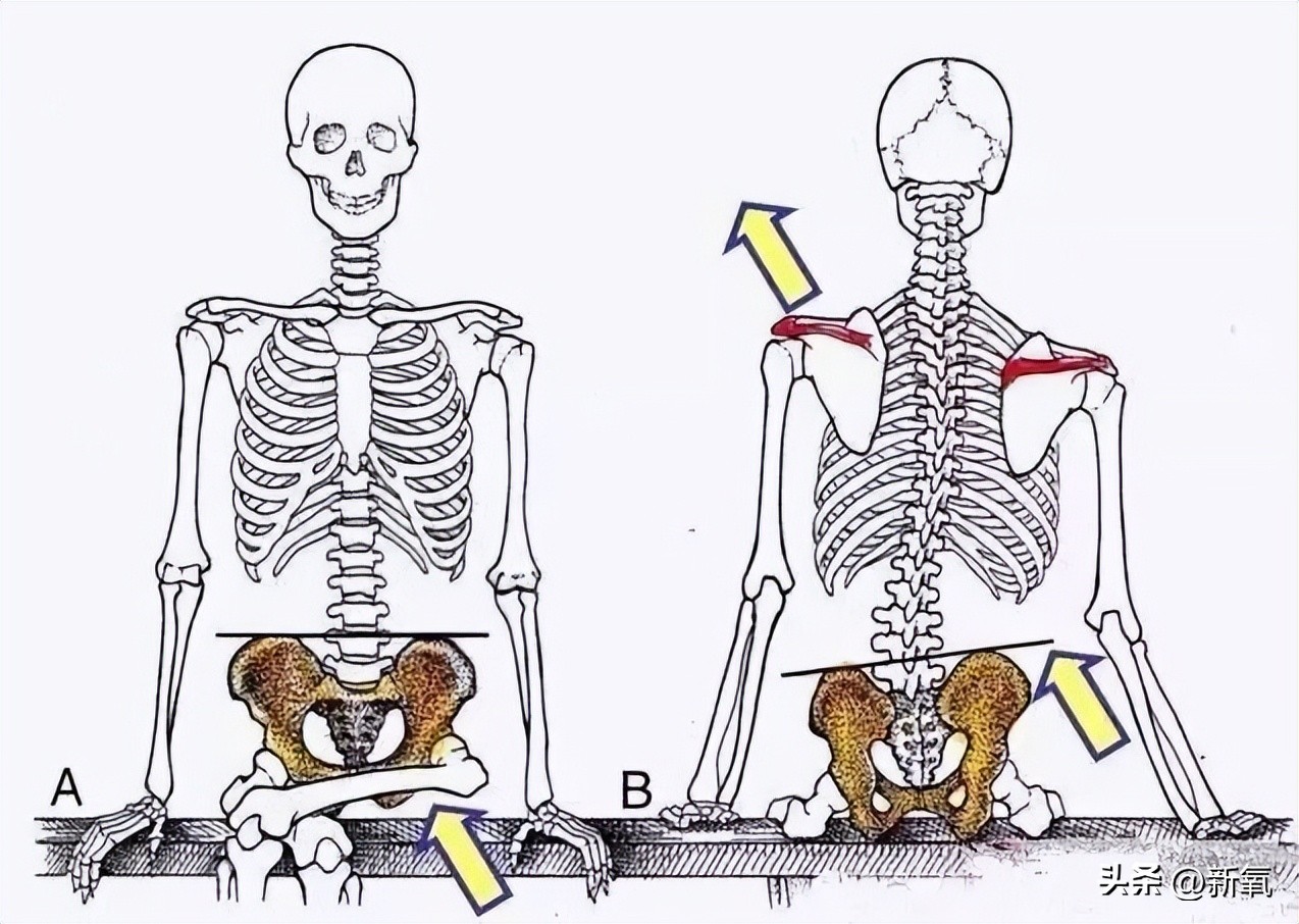The alternative sitting posture of Erlang's legs is hotly searched ...