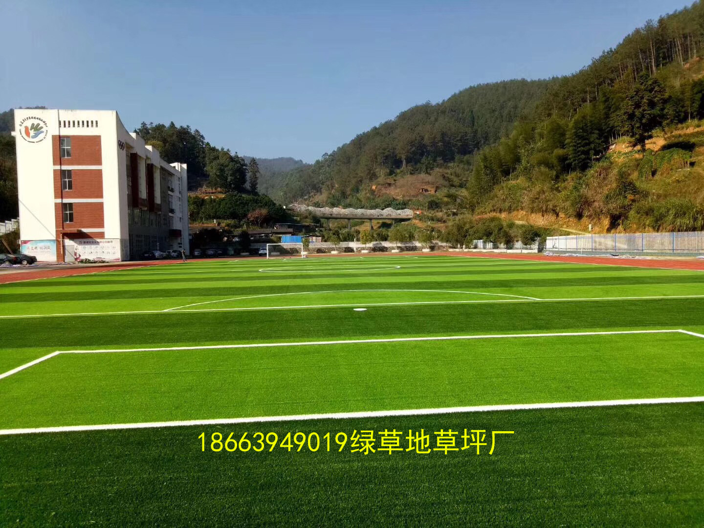 How much is professional football field turf - iNEWS