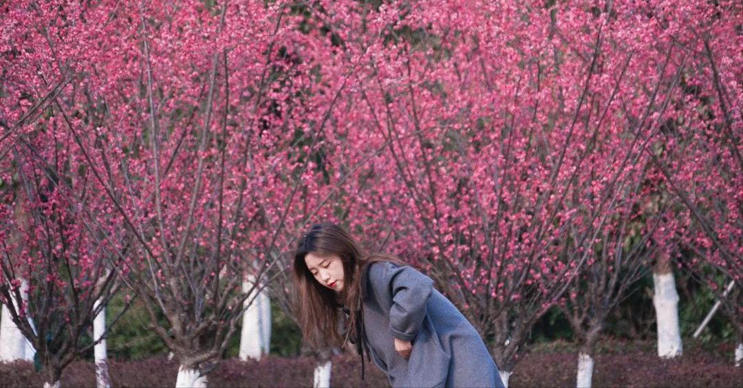 Suzhou, a niche flower viewing spot, is simply a "condensed version of ...