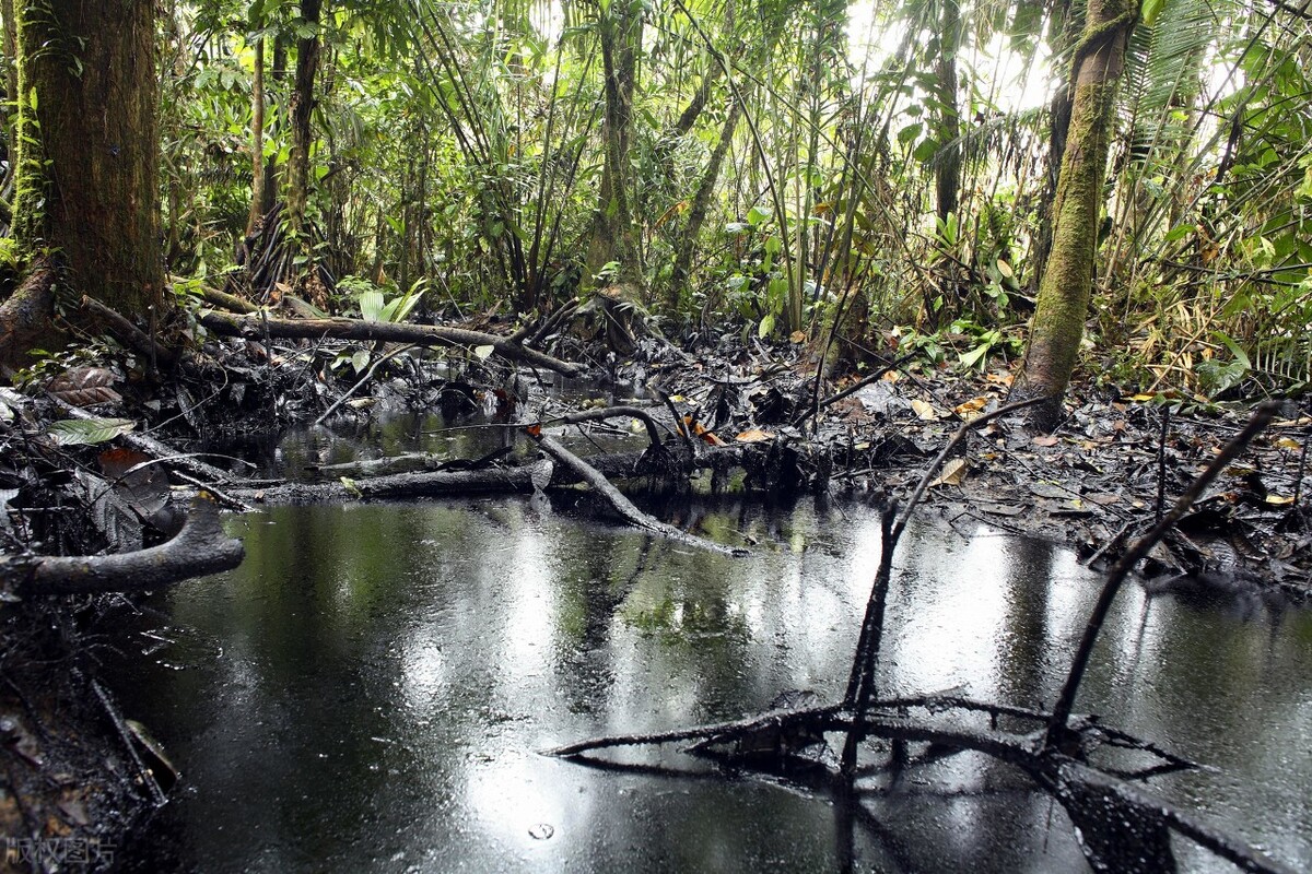 How terrible is the Amazon River, why has no bridge dared to cross it ...