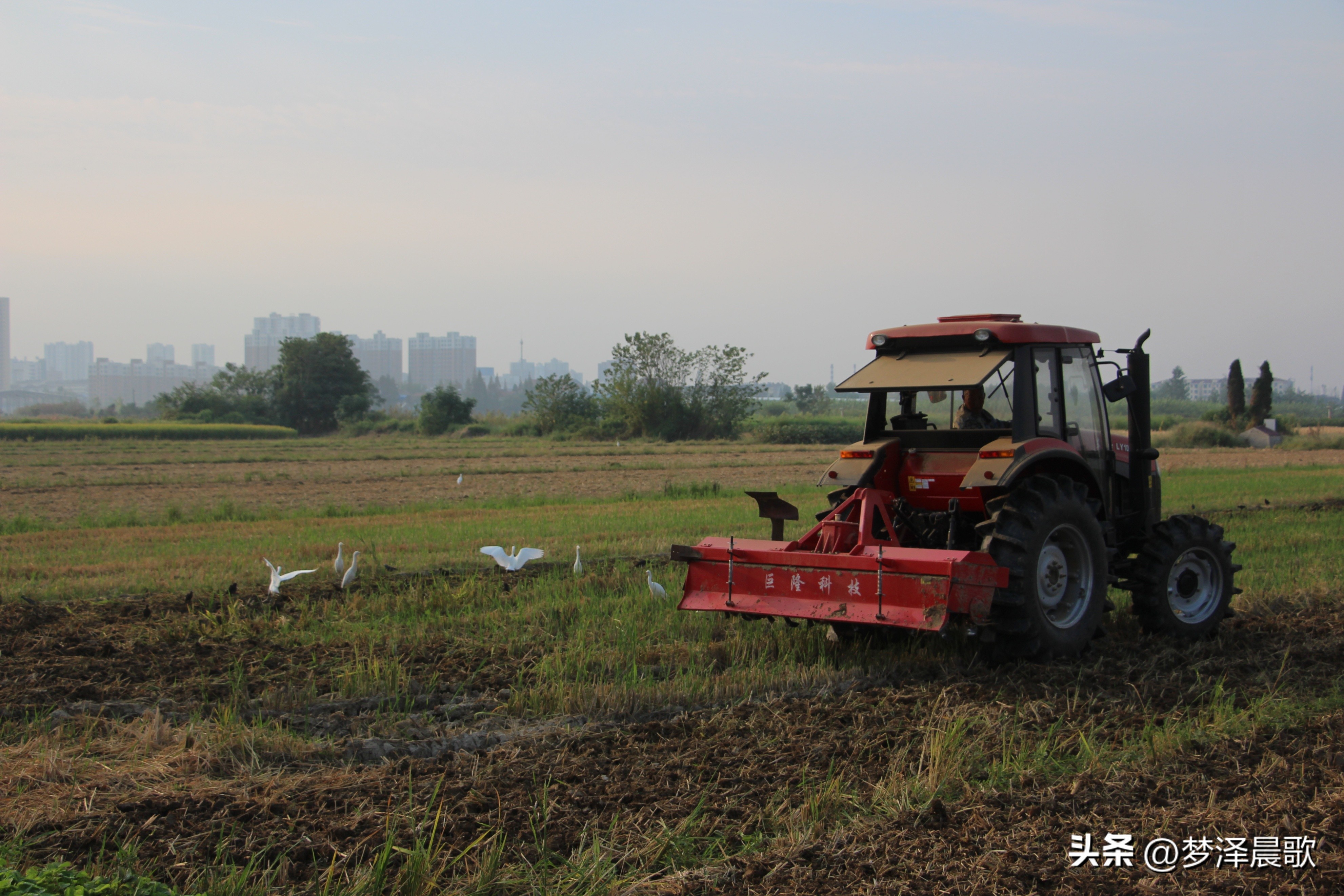 Hubei: Yunmeng farmers busy in autumn - iNEWS