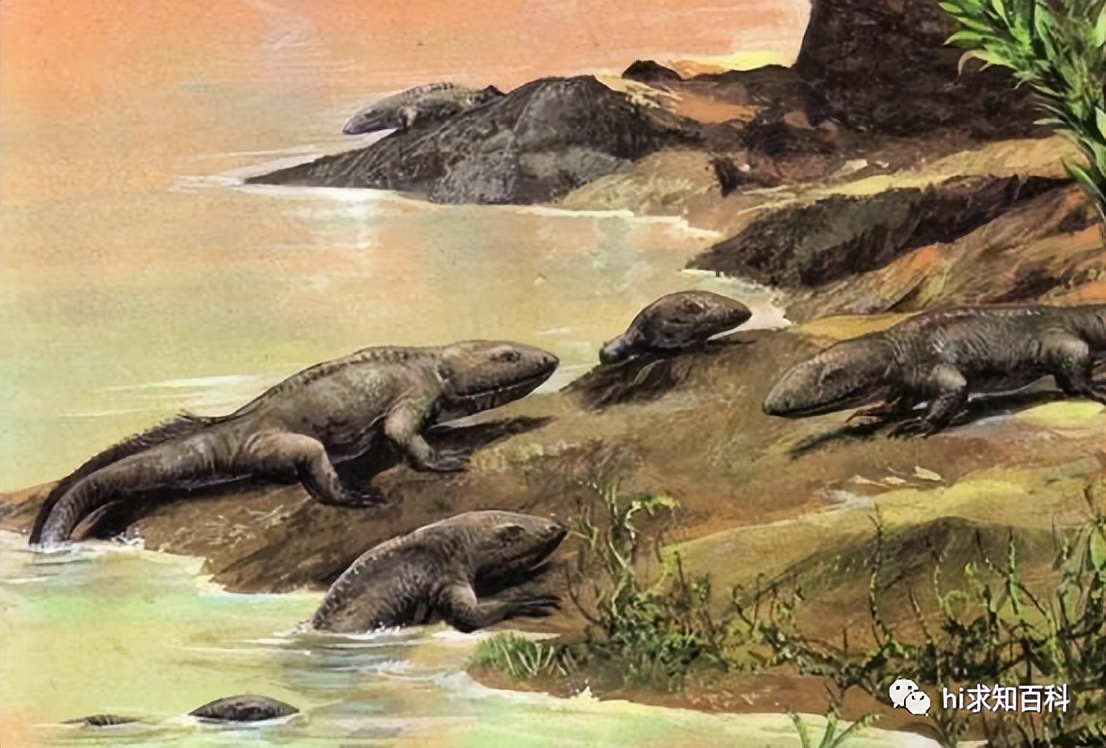 The ancestor of terrestrial organisms and amphibians on Earth, the ...