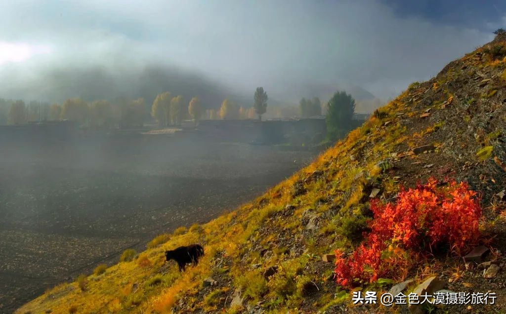 Western Sichuan: 11-day photography of Bipenggou, Seda, Xinlong, Genie Mountain, Daocheng Yading ...