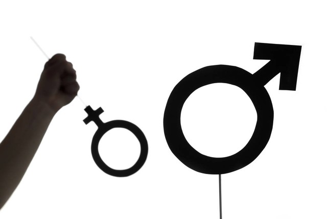 Discuss the status and challenges of gender equality as reflected in ...