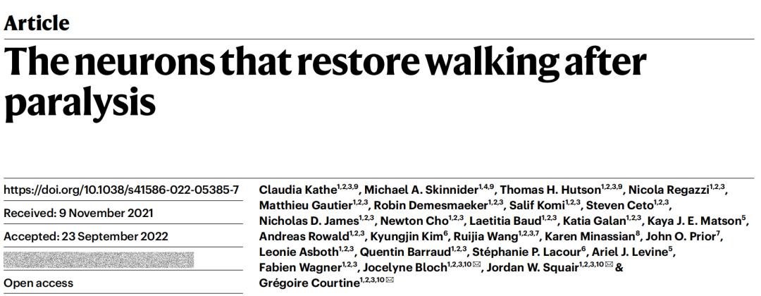 Neurons that restore walking ability in paralyzed patients - iNEWS