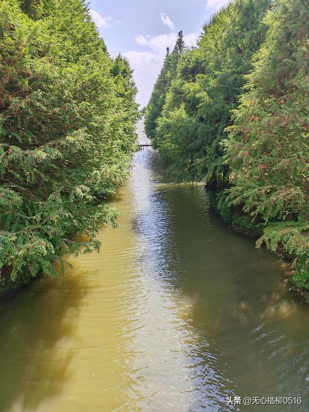 The most beautiful April day in the world, live up to the spring and ...