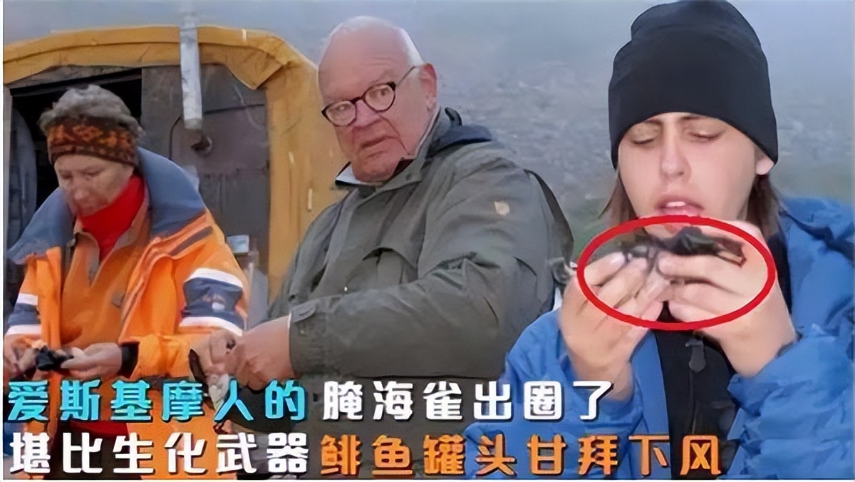 Eskimo pickled puffins, worse than canned herring, why are they ...