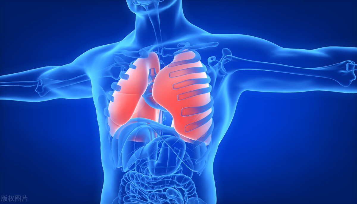 Professor Zheng Jinping breaks through the important target of COPD ...