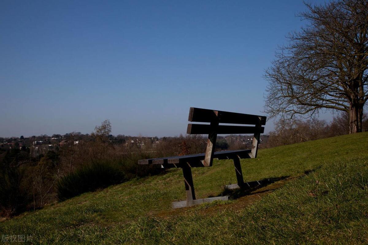 Draw strength and courage from Coco Lee and walk firmly towards ...