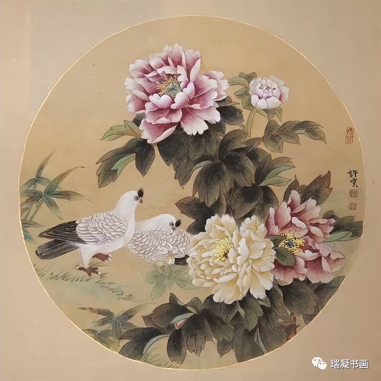 How much talent can see the sun through the clouds - Xu Yun - iNEWS