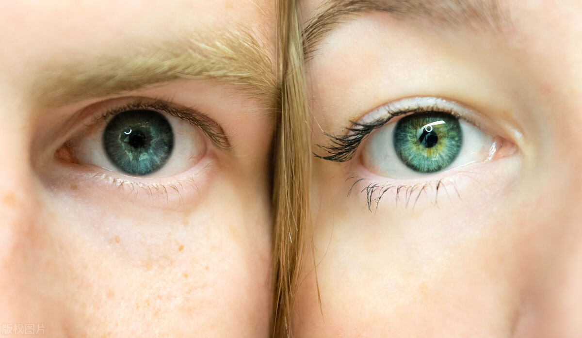 What races are there in the world? - iMedia