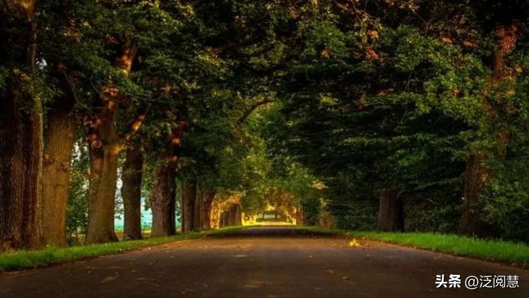 "Lie Zi" Wisdom Story: The Origin of the Idiom "Mo Bian Chu Ye", One ...