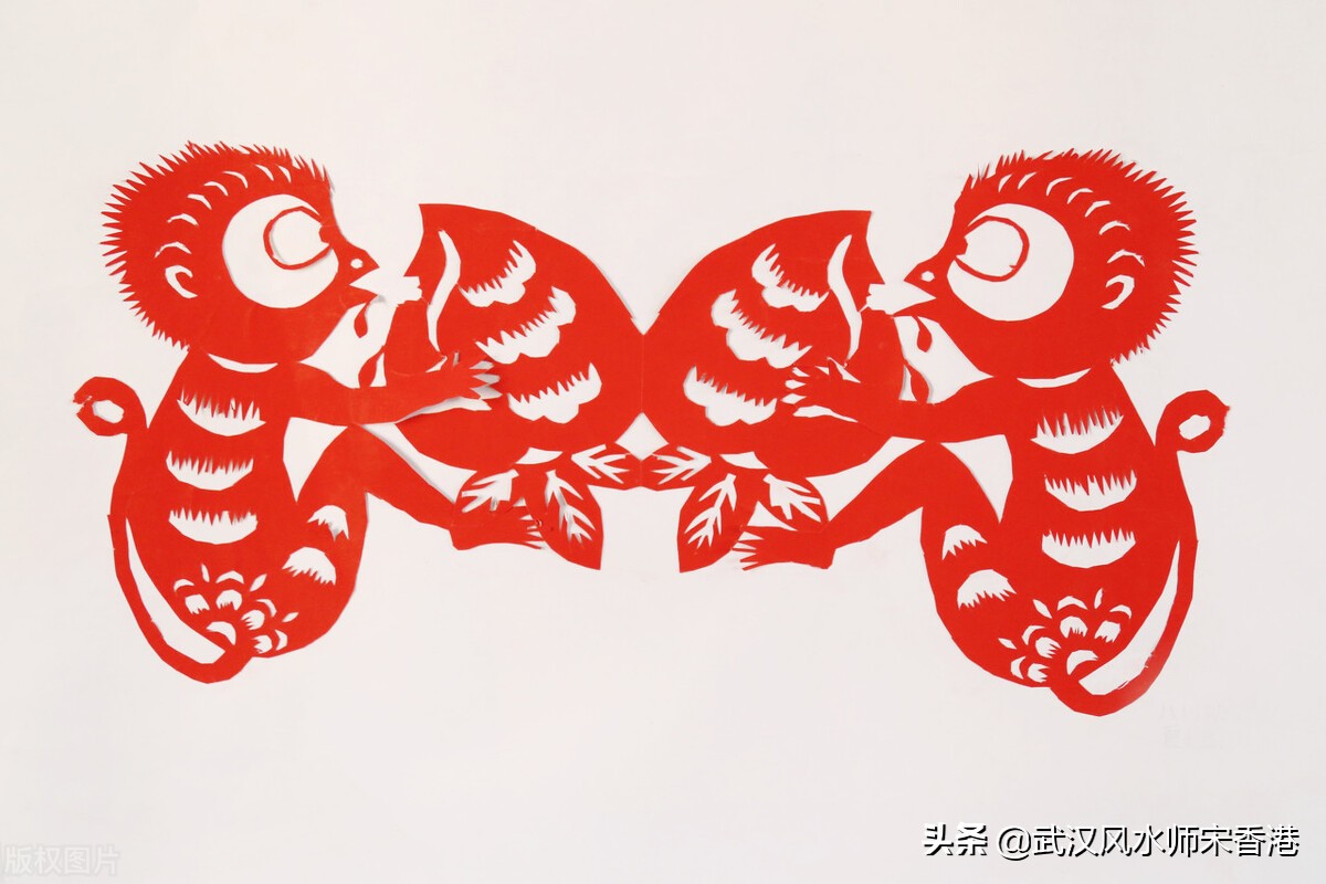 Fortune and fortune of monkeys in 2022 - iNEWS