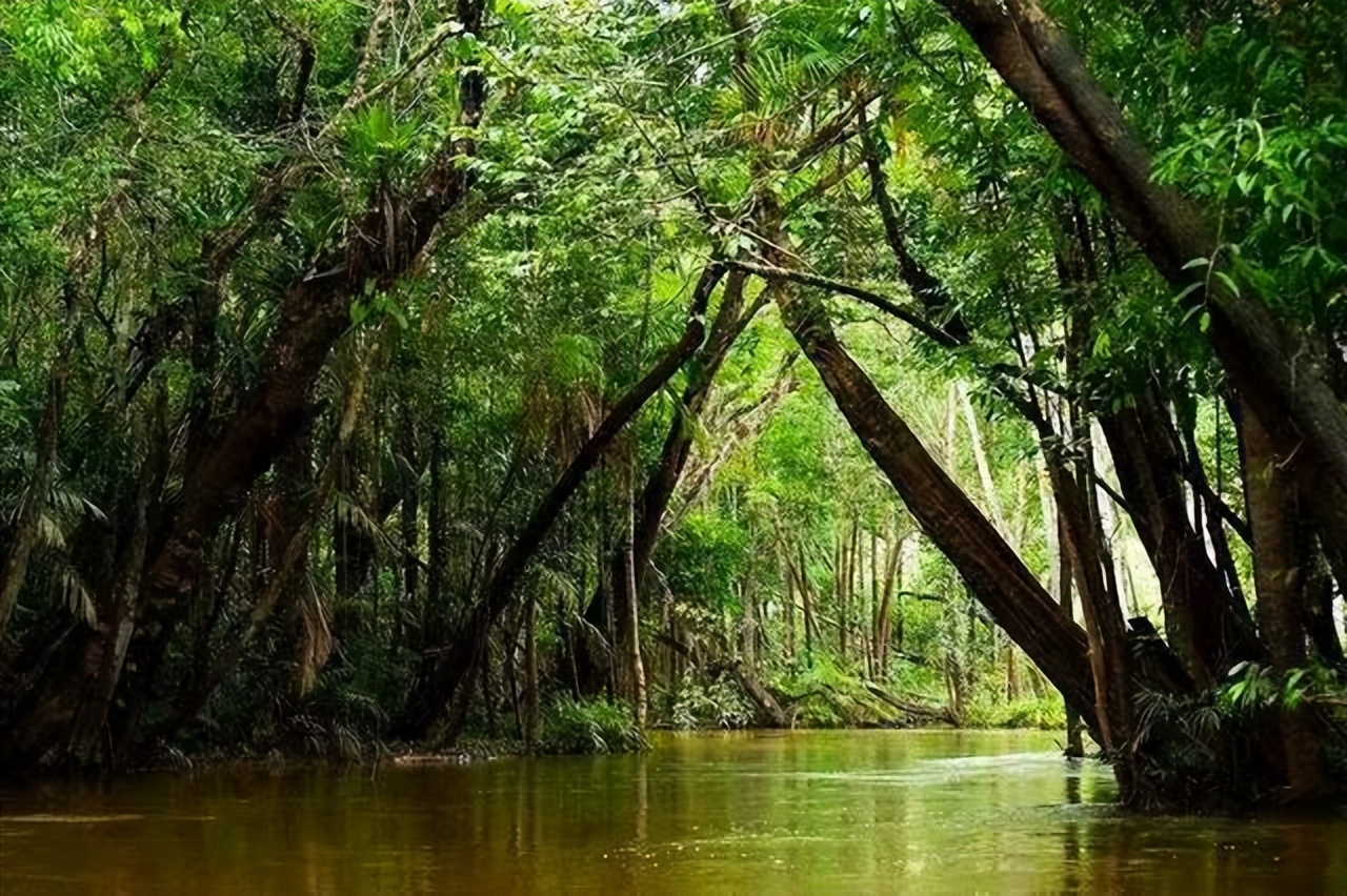 How scary is the Amazon rainforest?Known as the "human restricted area ...