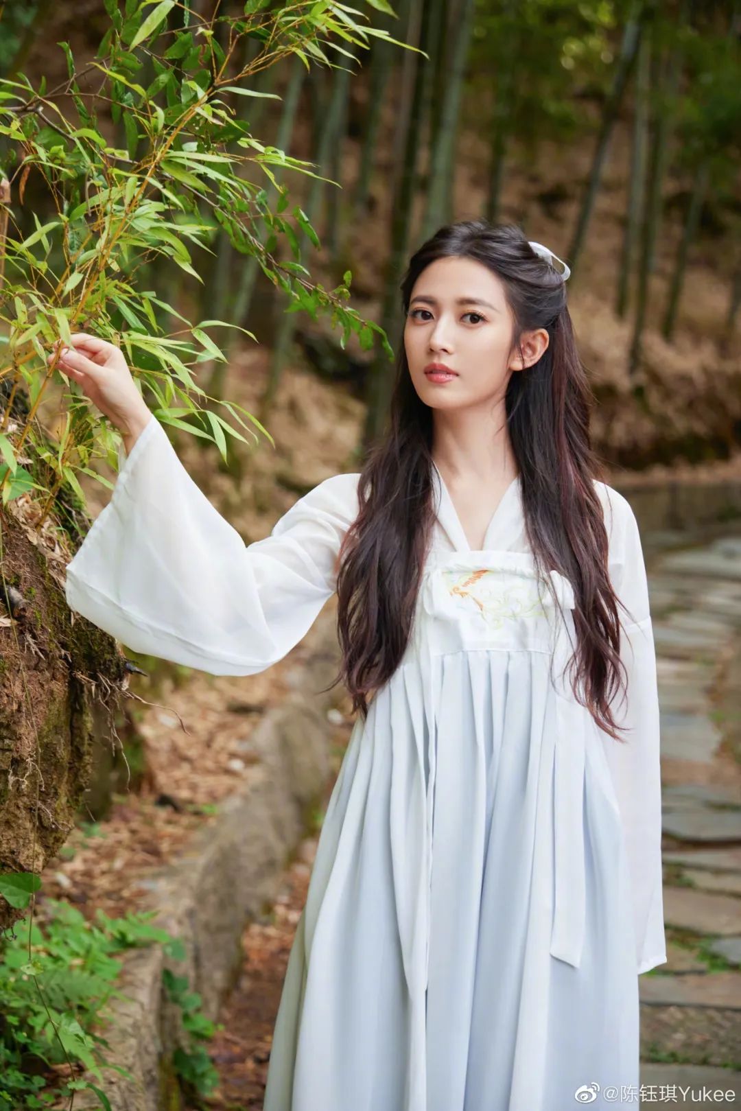 Wang Junkai and Ju Jingyi collaborate?Gong Jun Wang Yixu?Wang Hedi, Bai ...