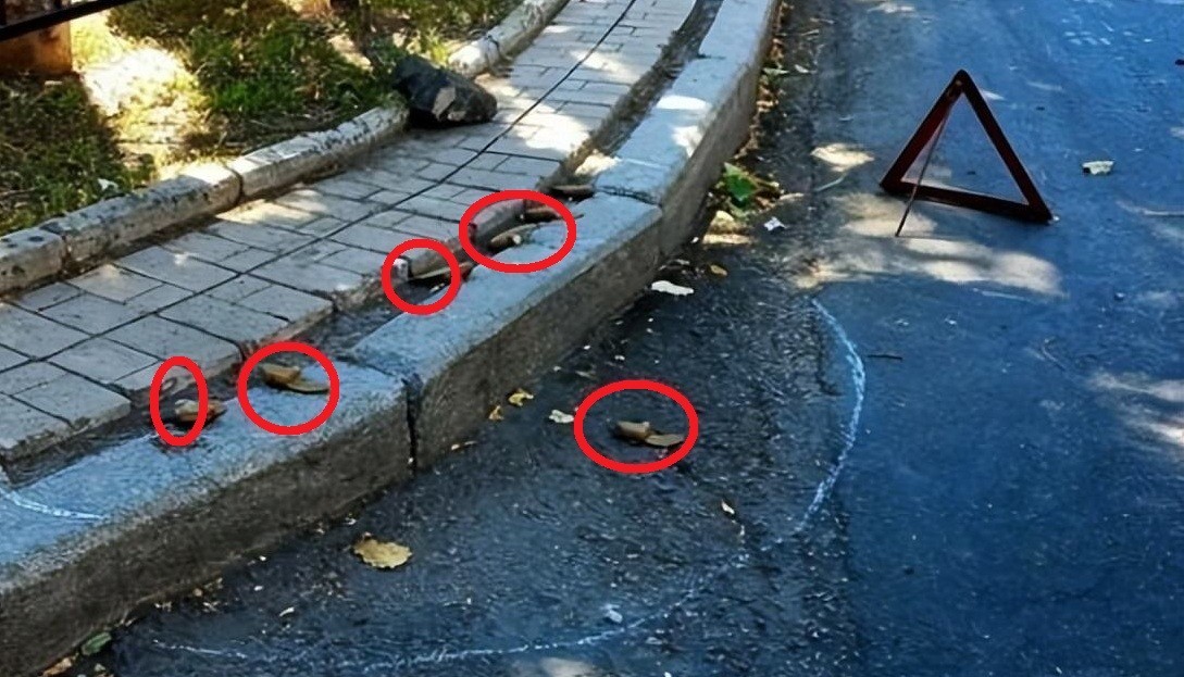 The Ukrainian army used brutal butterfly mines, and the Russian ...