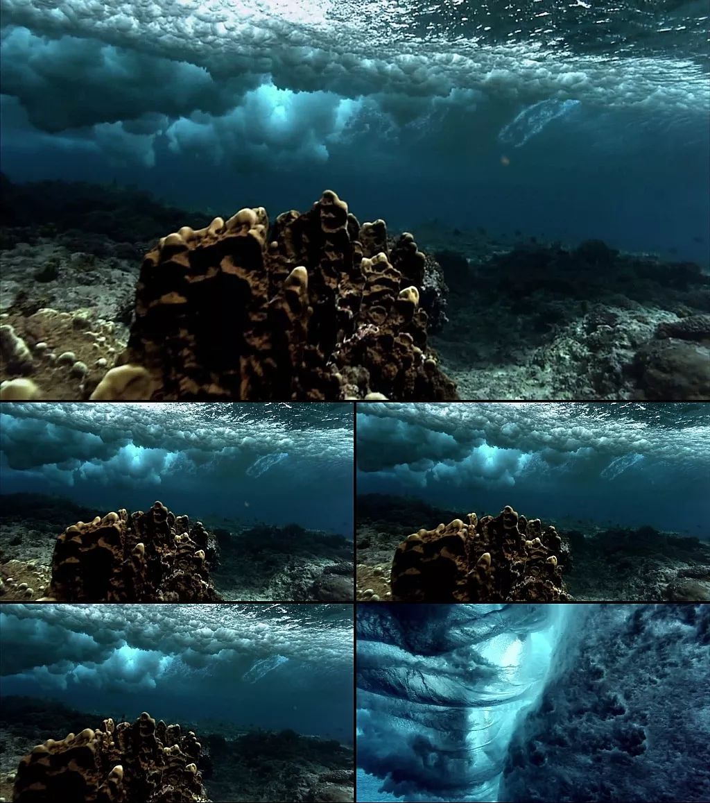 Diving Science: In the event of a tsunami, is it safer to dive into the ...