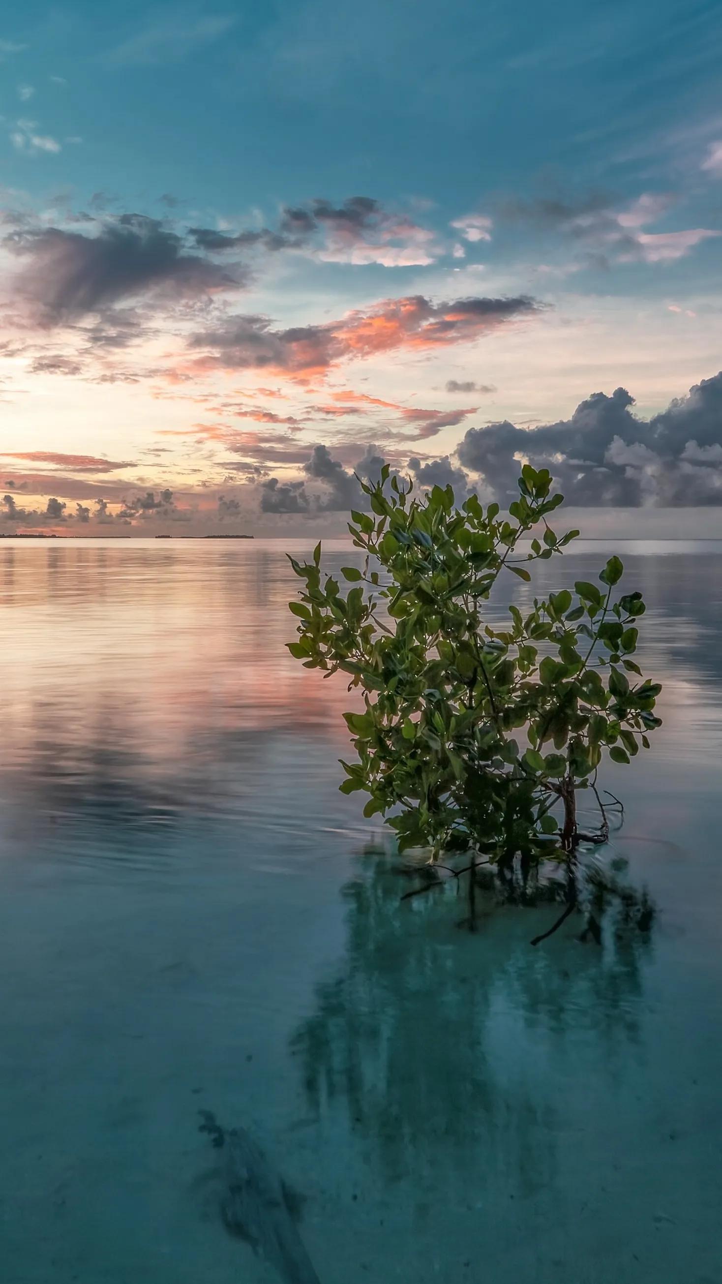 all the way scenery - iNEWS