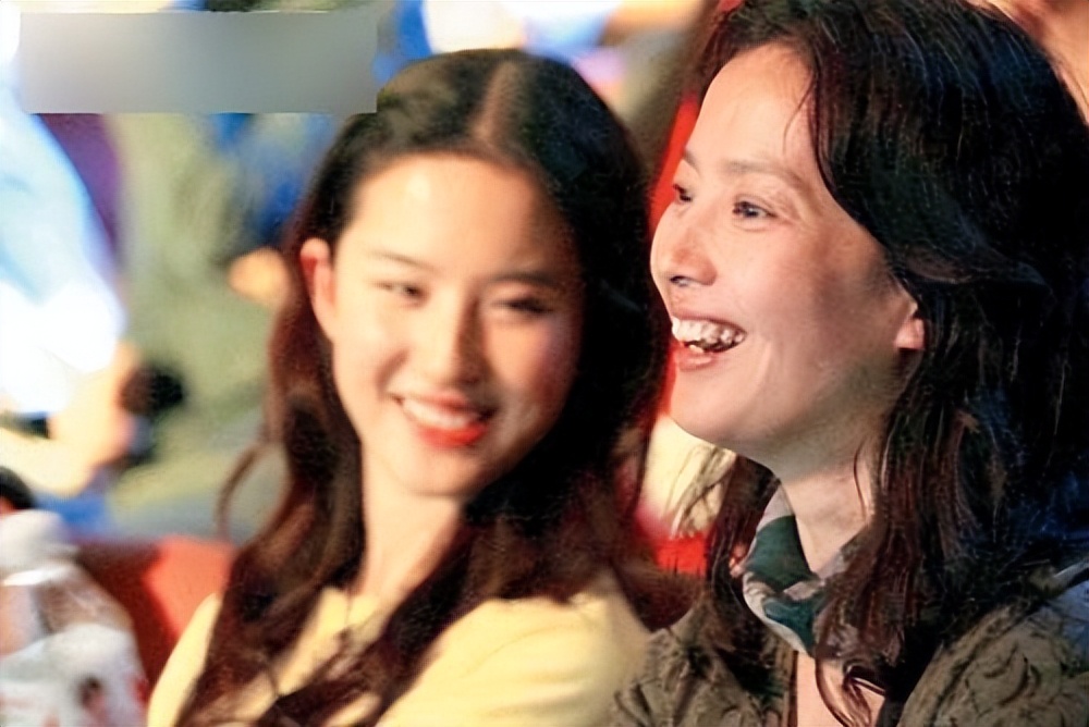 After 16 years, look at Liu Xiaoli and give up her career and marriage ...