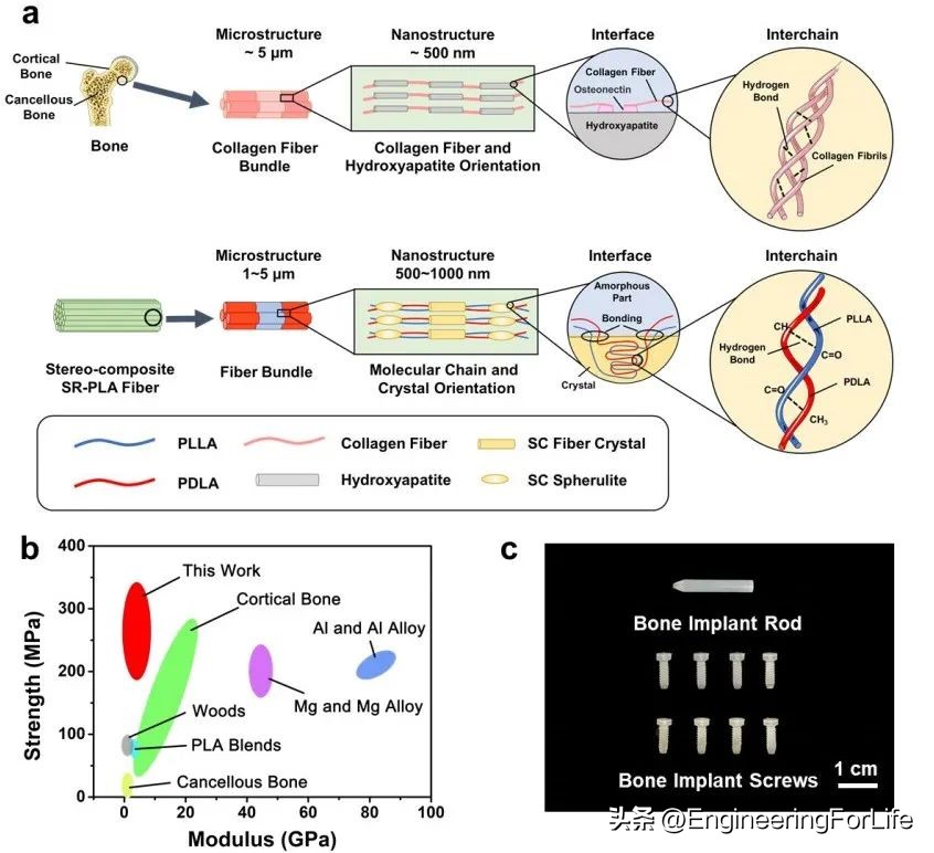 "AHM": A multifunctional disorder-ordered technology endows polymers ...