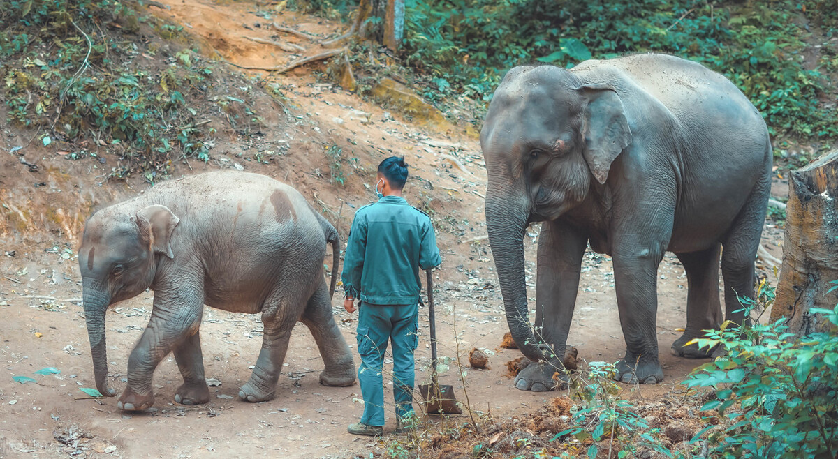Xishuangbanna Travel Guide - iNEWS