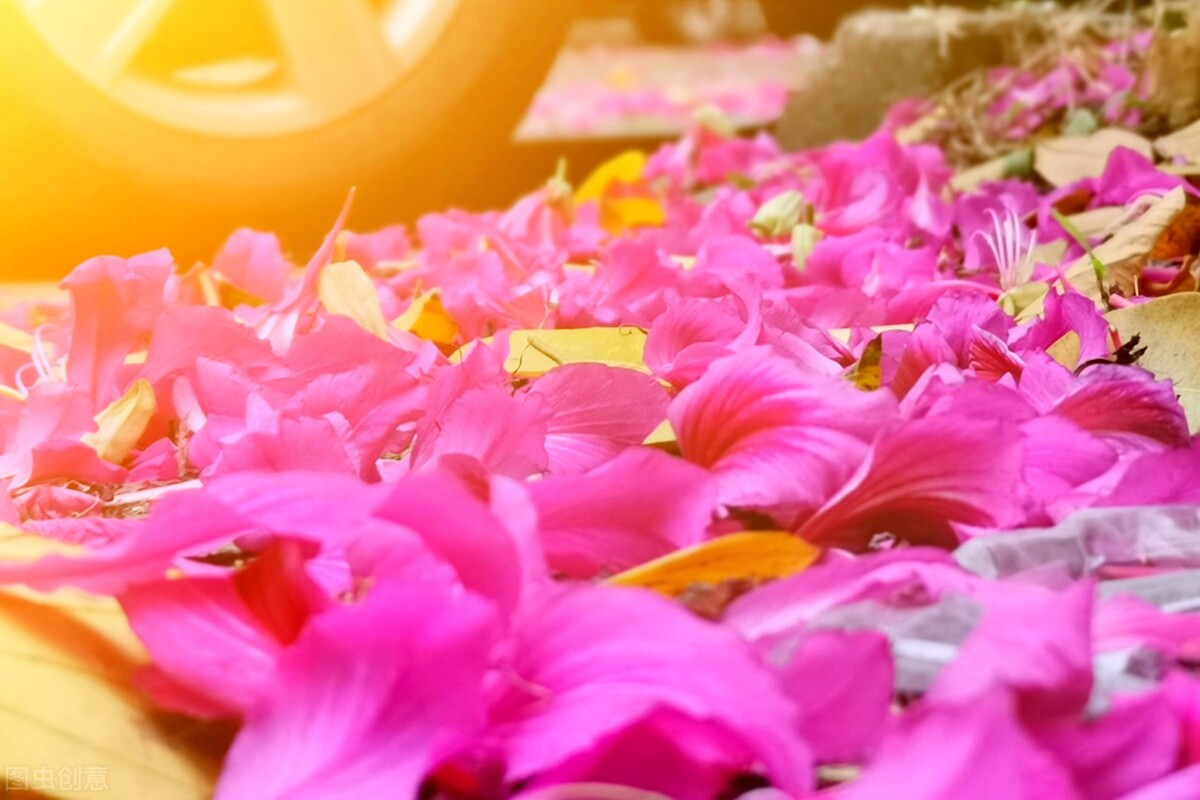 Life after middle age, the simpler the better - iNEWS