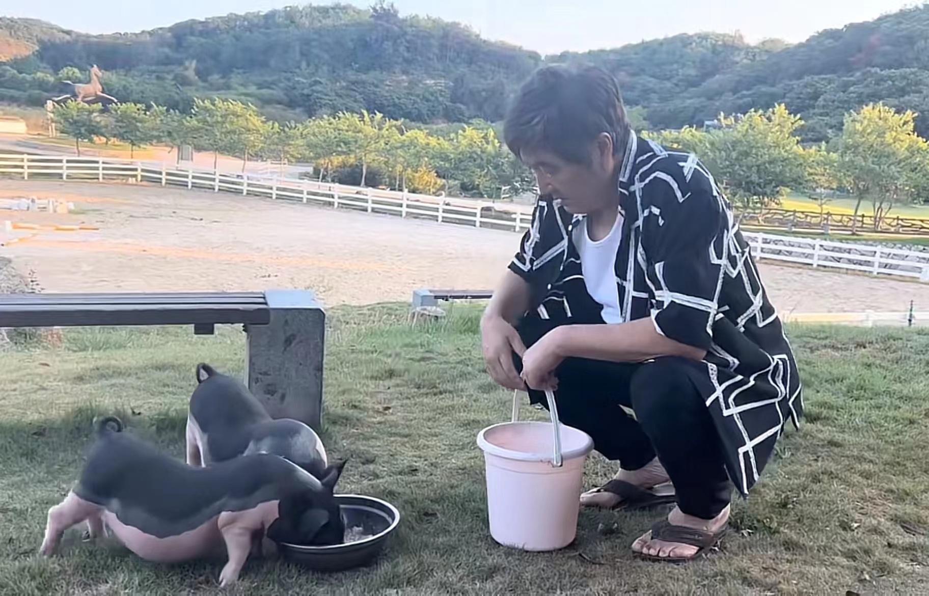 Actor Lin Wei feeds pigs in the countryside, wears slippers with a big ...
