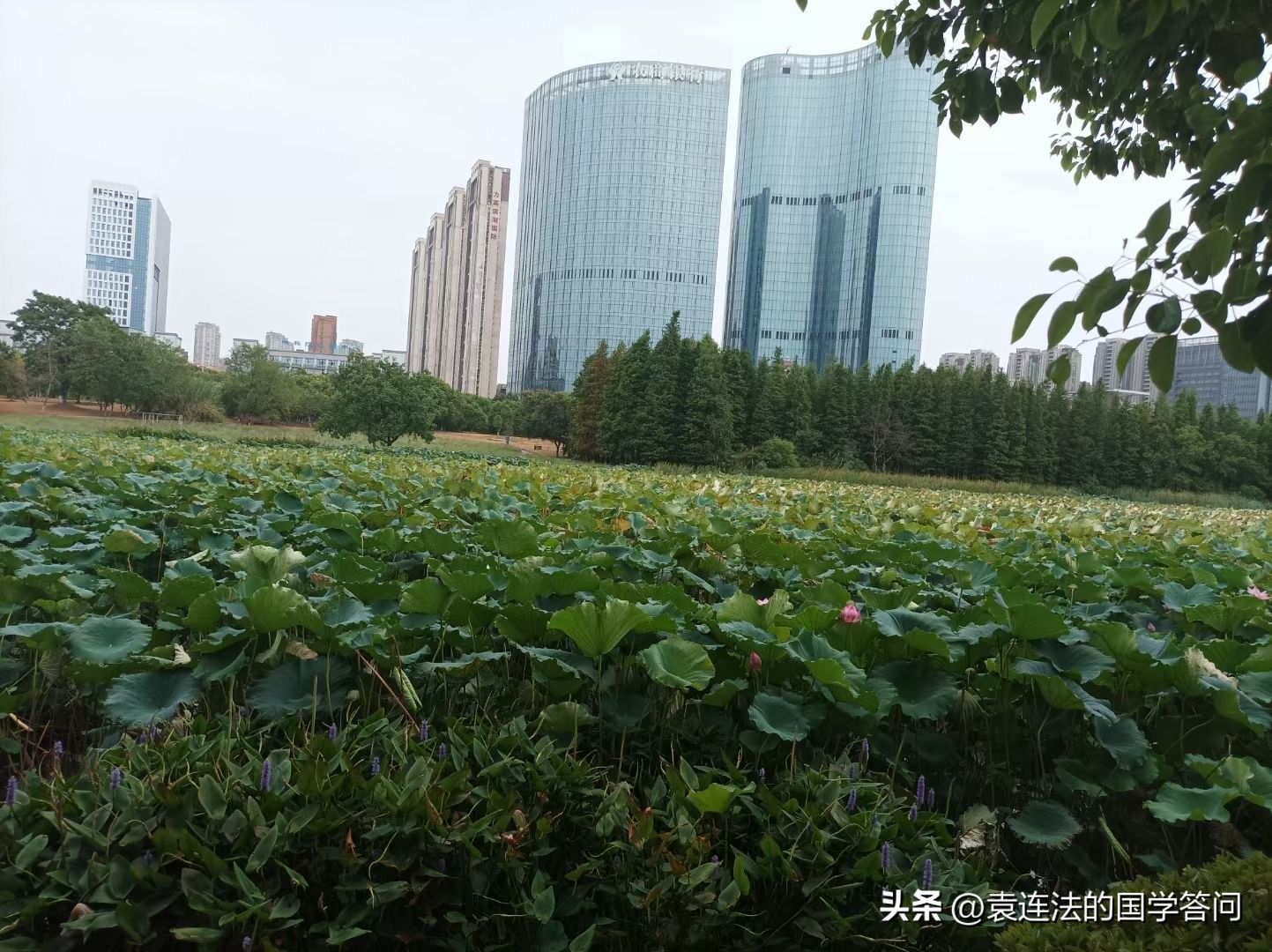 Reread Chapter 65 of Tao Te Ching - iNEWS