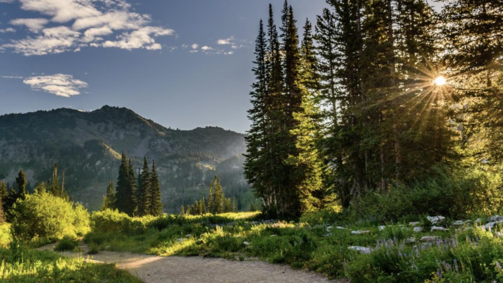 A constellation with deep cultivation, high realm and large pattern ...