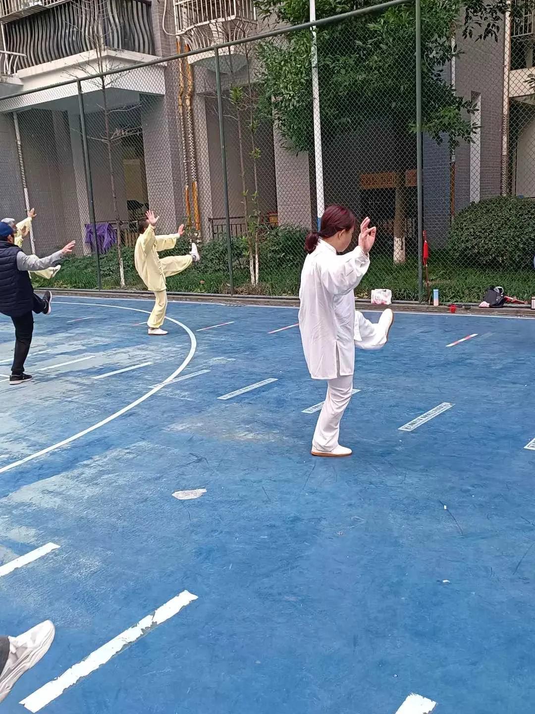 White Crane Tong Lao / Fist and Sword Rhyme - iNEWS