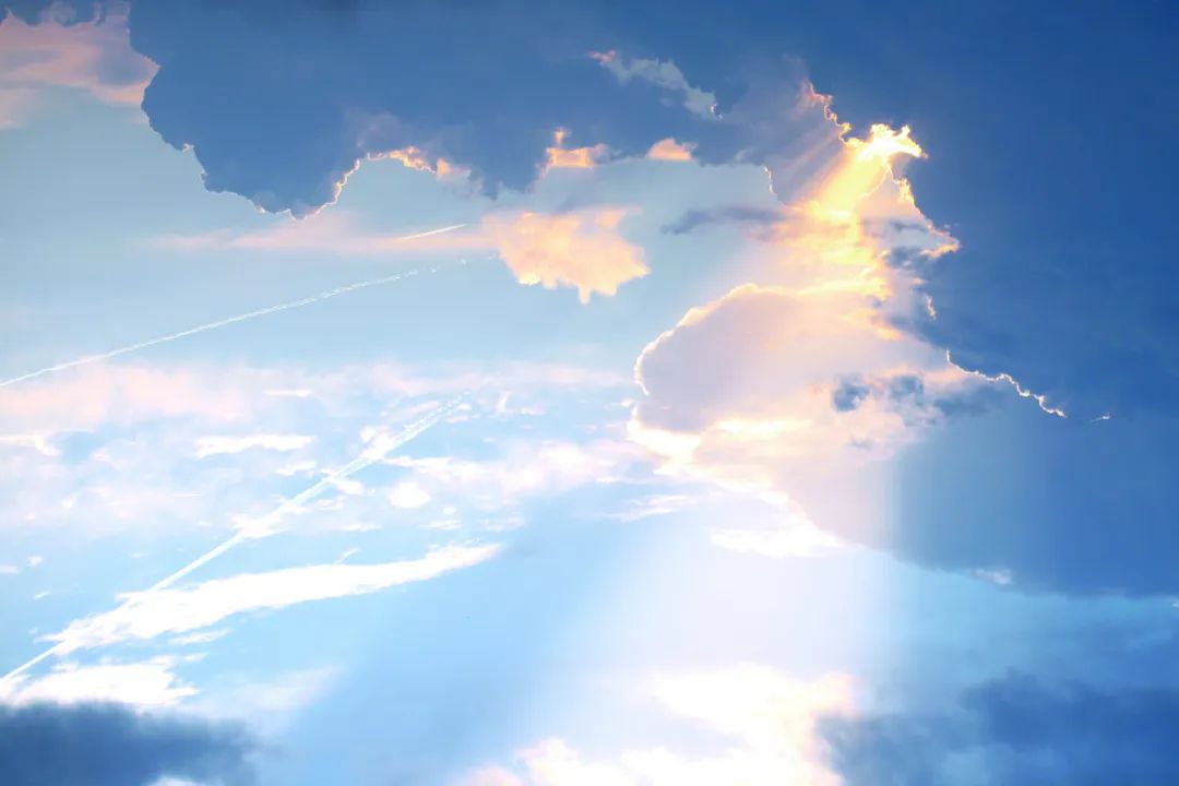 Does mobile phone blue light damage the skin? - iNEWS