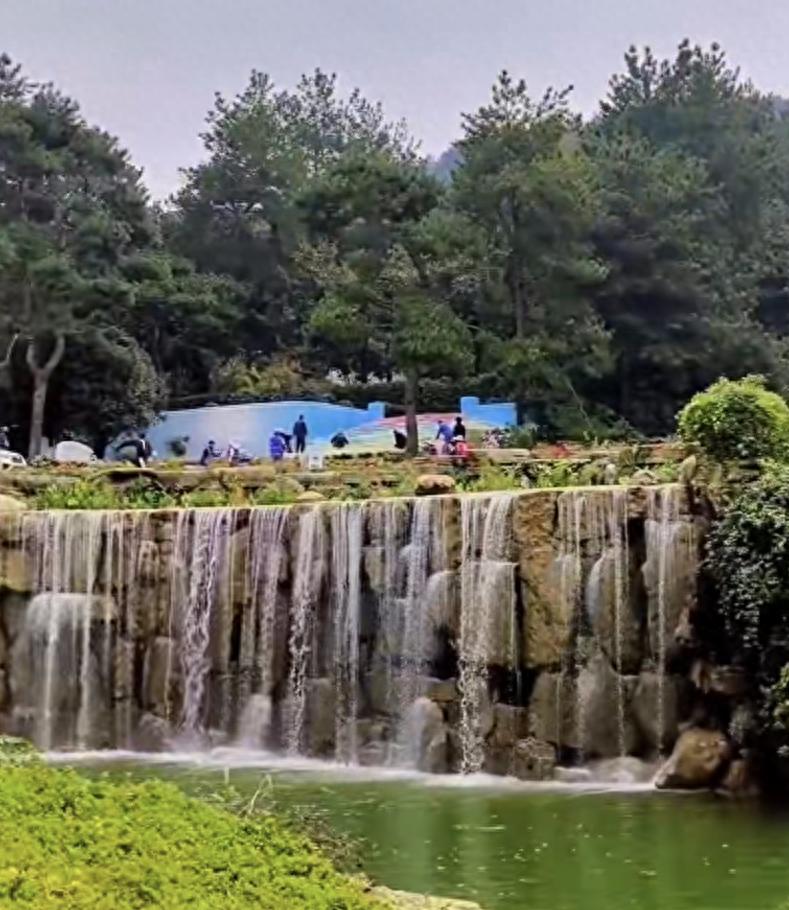 Coco Lee was buried on the 21st! The family moved the ashes to the ...