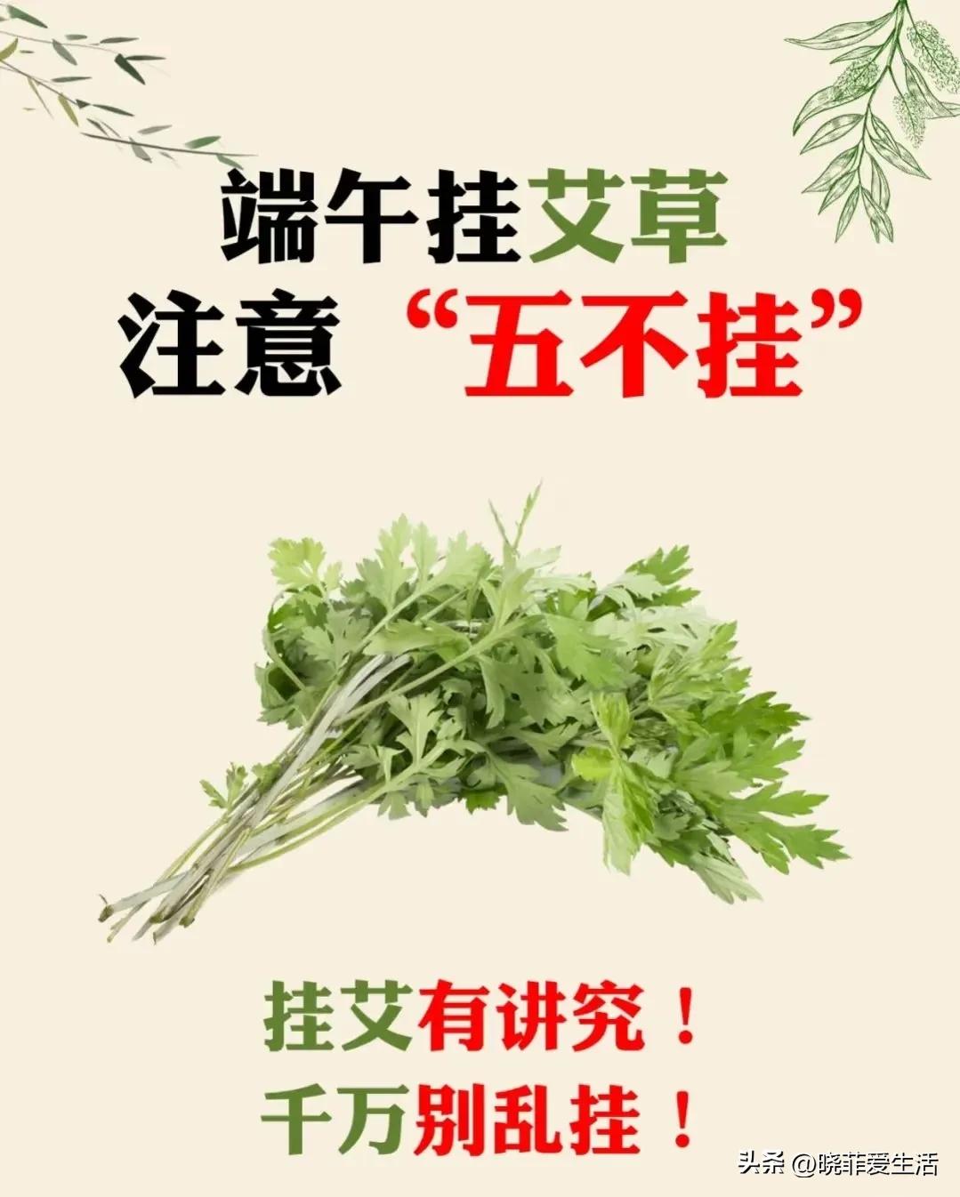 "Dragon Boat Festival: Hanging mugwort in 5 places will bring ...