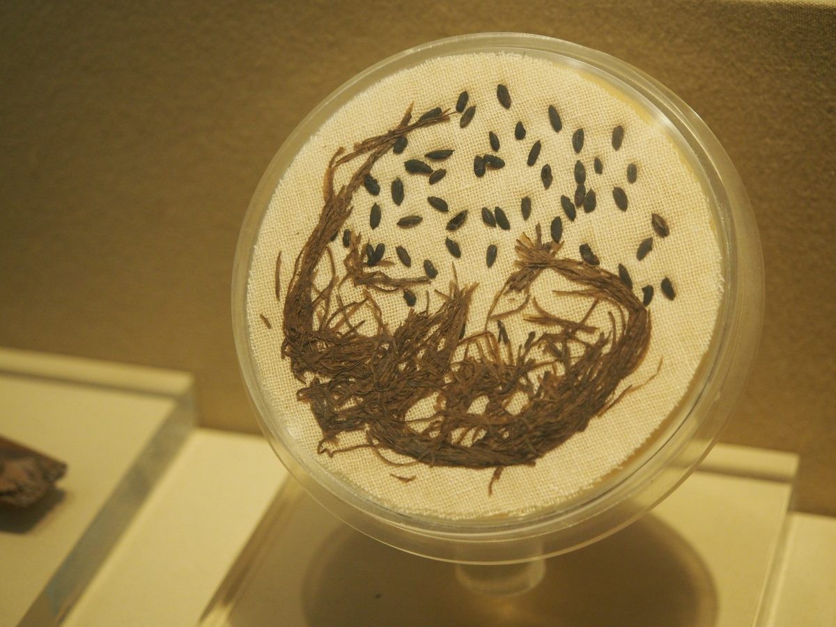 Chinese Neolithic Pottery - iNEWS