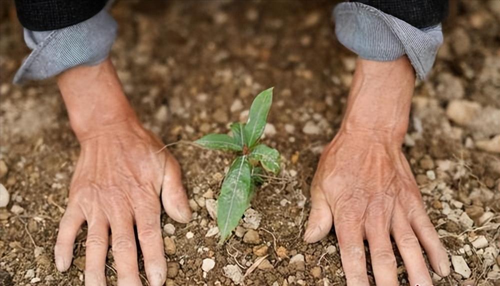 In 1986, the old man was in the woods to relieve himself with a branch ...