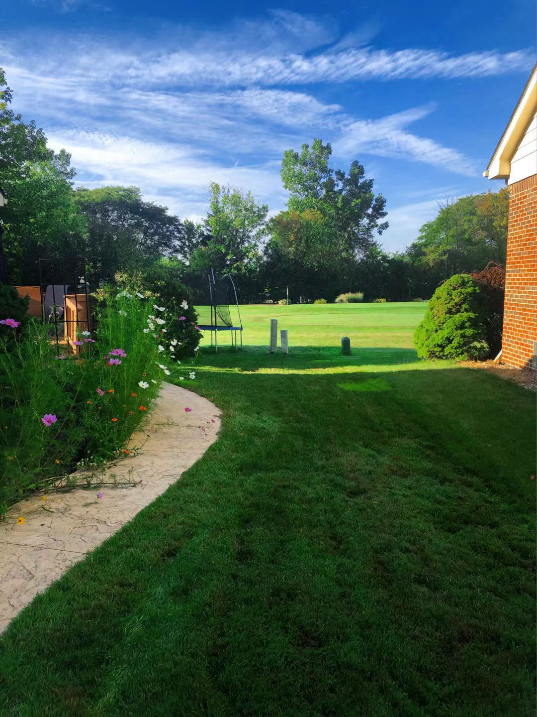 Garden Landscape Elements - Lawn - iNEWS