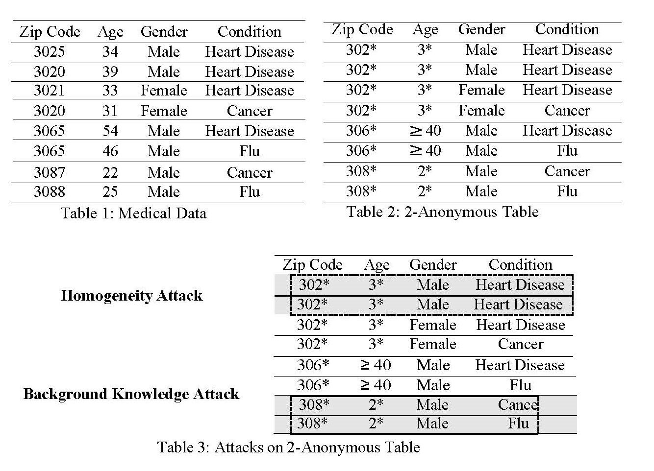 Data Privacy Mechanisms and Attacks - iNEWS