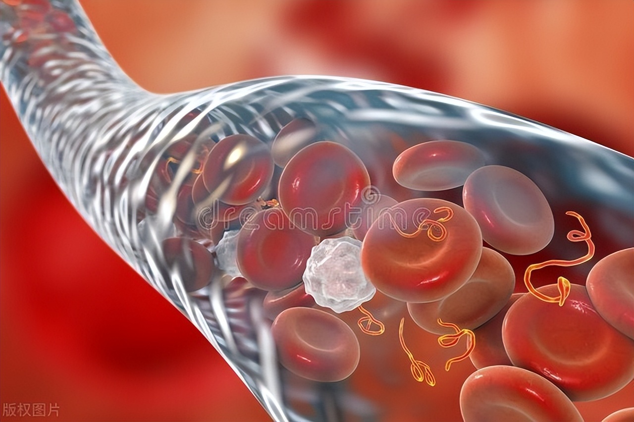 Thick blood is pseudoscience? Thick blood equals hyperlipidemia? How ...